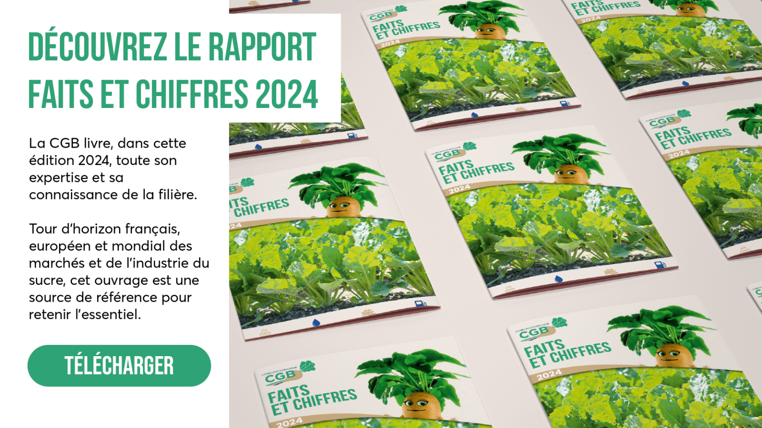 CGB en régions – CGB